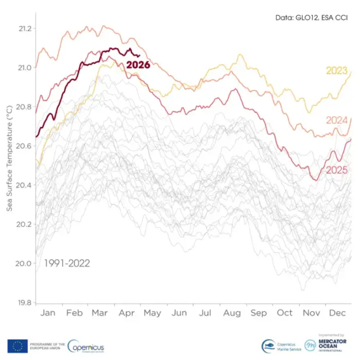 As the Climate Crisis Heats Our Ocean, Trump Is Tossing the Thermometer ...
