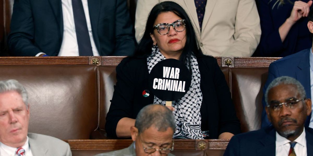 Opinion | Rashida Tlaib: A Profile in Courage | Common Dreams Opinion | Rashida Tlaib: A Profile in Courage | Common Dreams