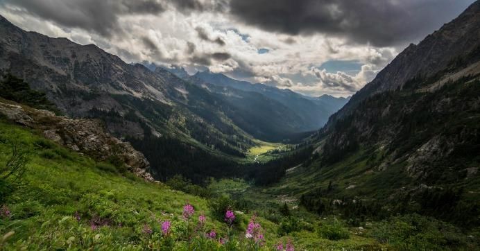 Fall of the Wild: Study Documents 'Catastrophic Decline' in World's ...