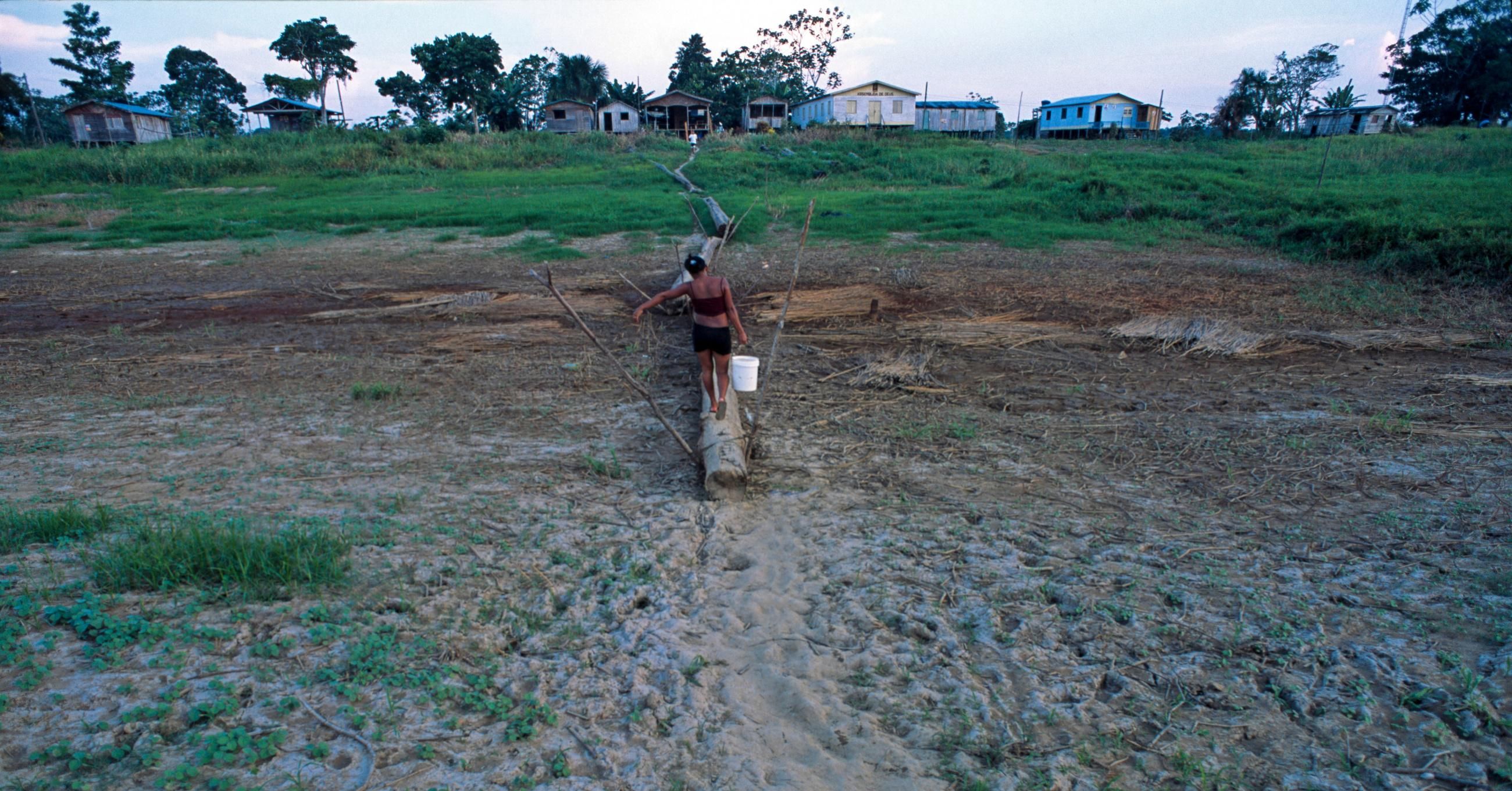 'Should Ring Alarm Bells': Study Warns of Severe Drying for Amazon ...