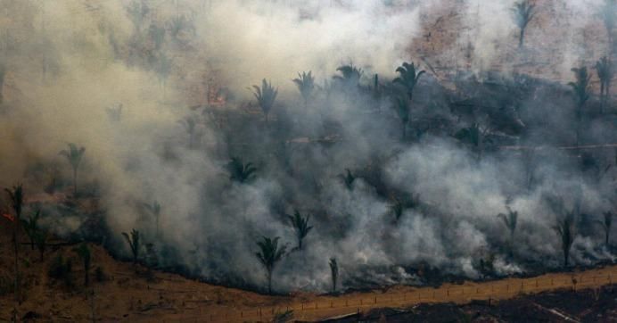 As New Fires Rage in Amazon, Global Calls for Urgent Action to Avert ...