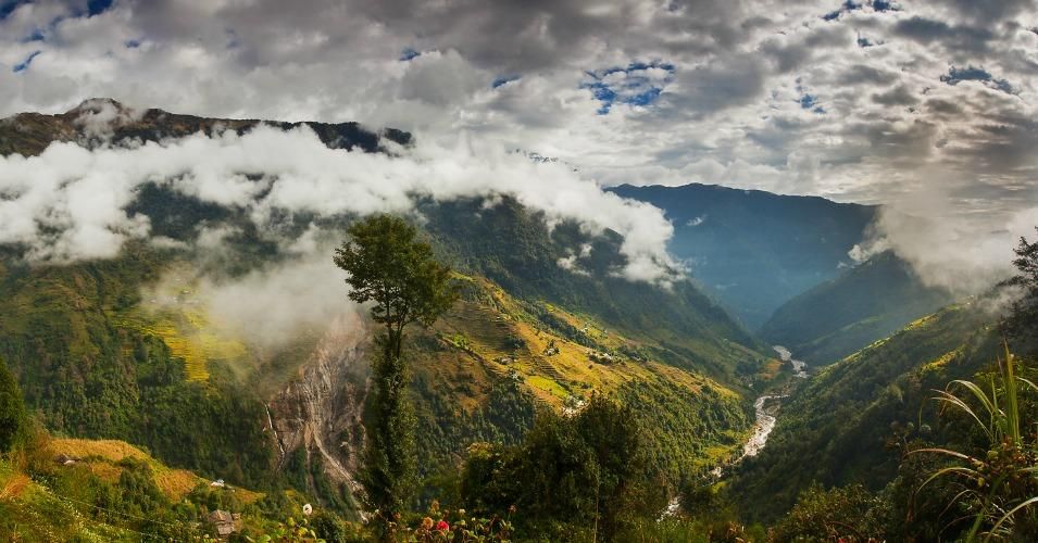 Humanity Failing the Earth’s Ecosystems