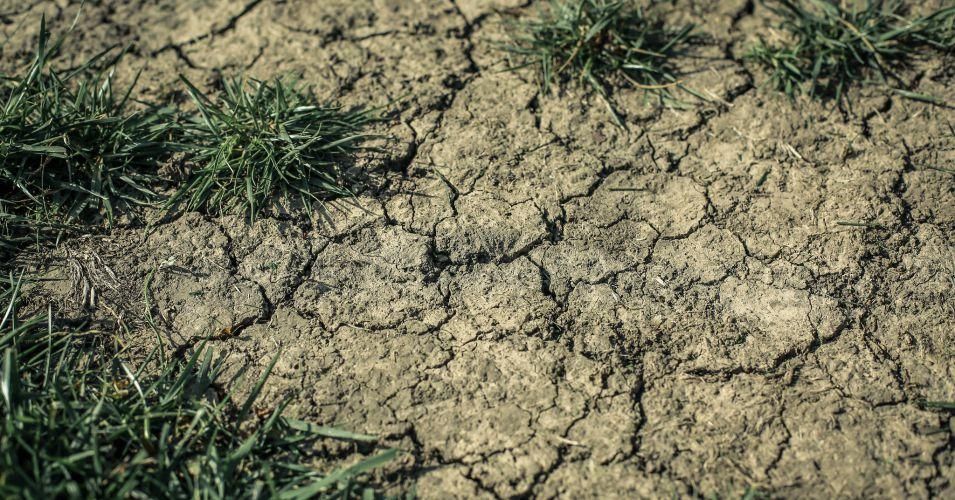 Global Warming Deepening Drought — And Without Climate Action, It'll ...