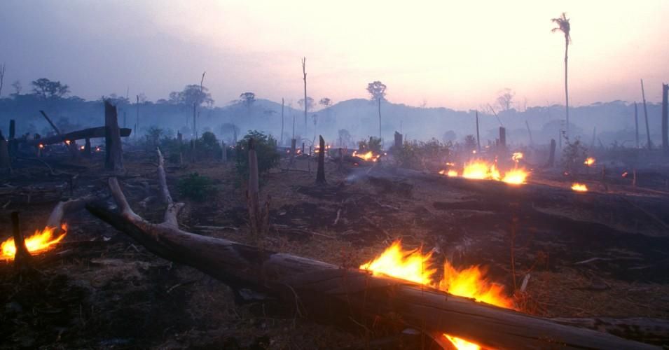 World Environment Day Provokes Warnings That 'To Care for Humanity, We ...