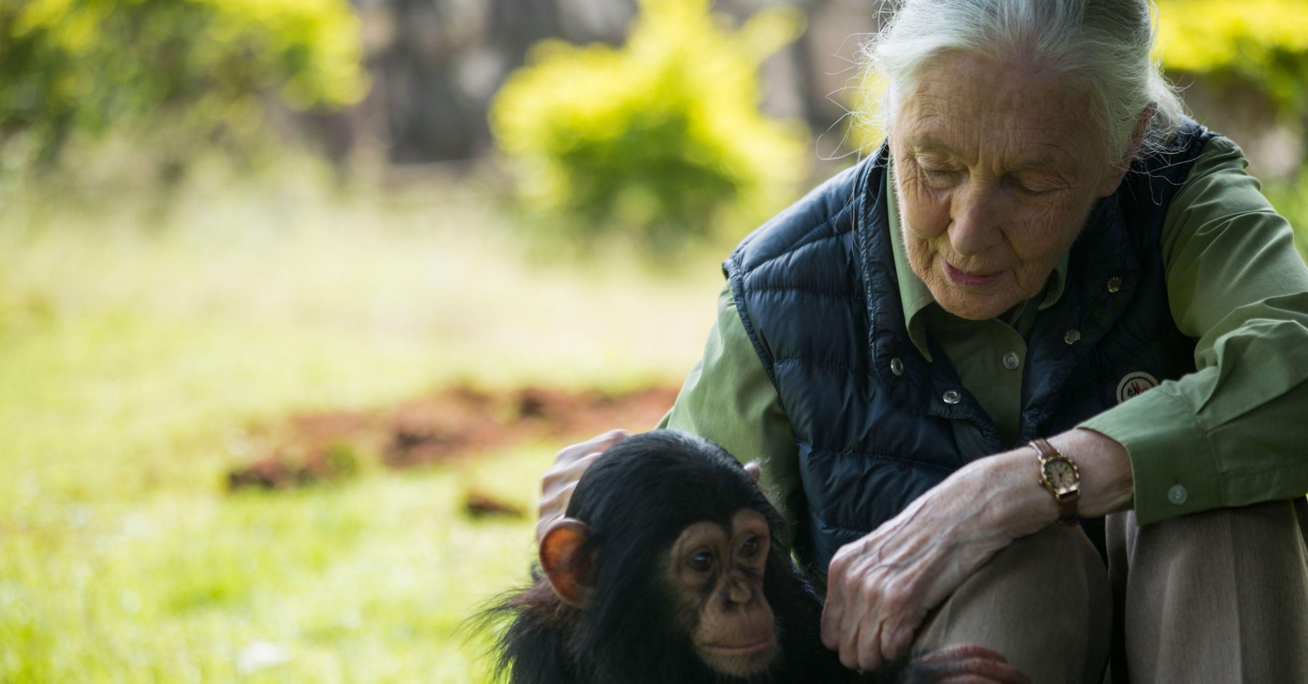 Humanity Must Embark on 'New Relationship With the Natural World,' Says ...