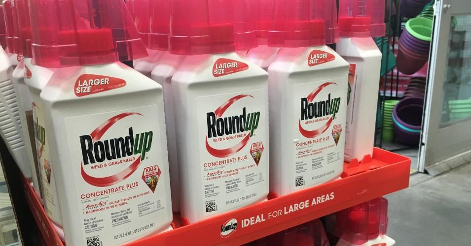 'Verdict Is In': Monsanto Found Liable for Man's Cancer, Ordered to Pay ...