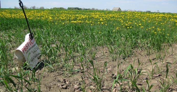 Despite 'Cloak of Moral Necessity,' Report Shows Big Ag Can't Feed the ...