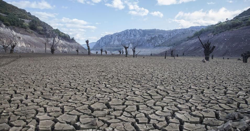 'Climate Change Is Here': Europe's Recent Droughts 'Unprecedented' in ...