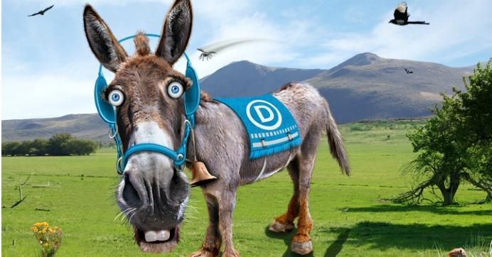 Opinion | The Scourge of Neoliberalism: Why the Democratic Party Is ...