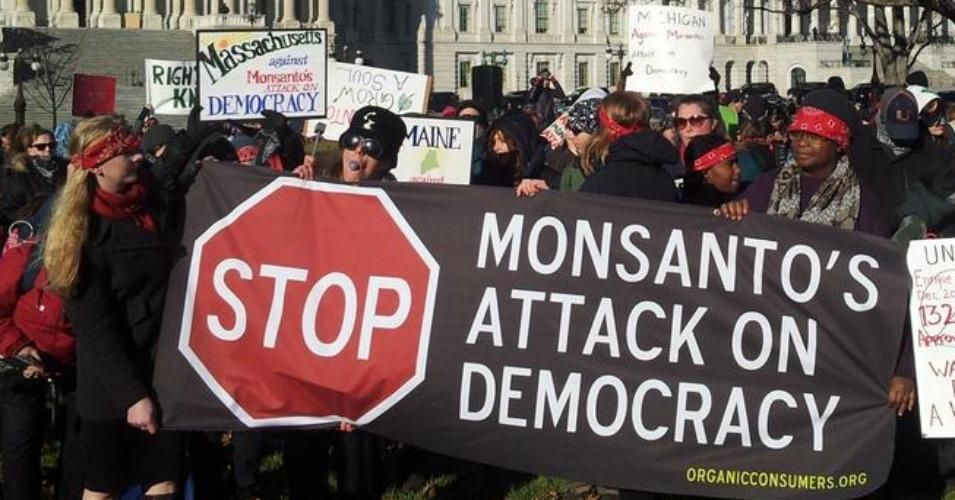 Opinion | GMO Labeling Activists Protest Bill to Preempt States’ Rights ...