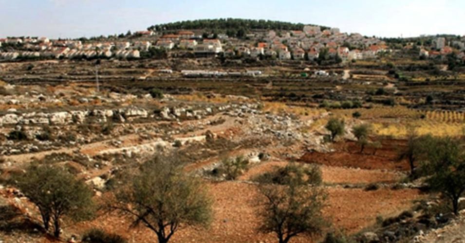 Opinion | Israel’s ‘Land for Lives’ Is Theft. Pure and Simple | Robert Fisk