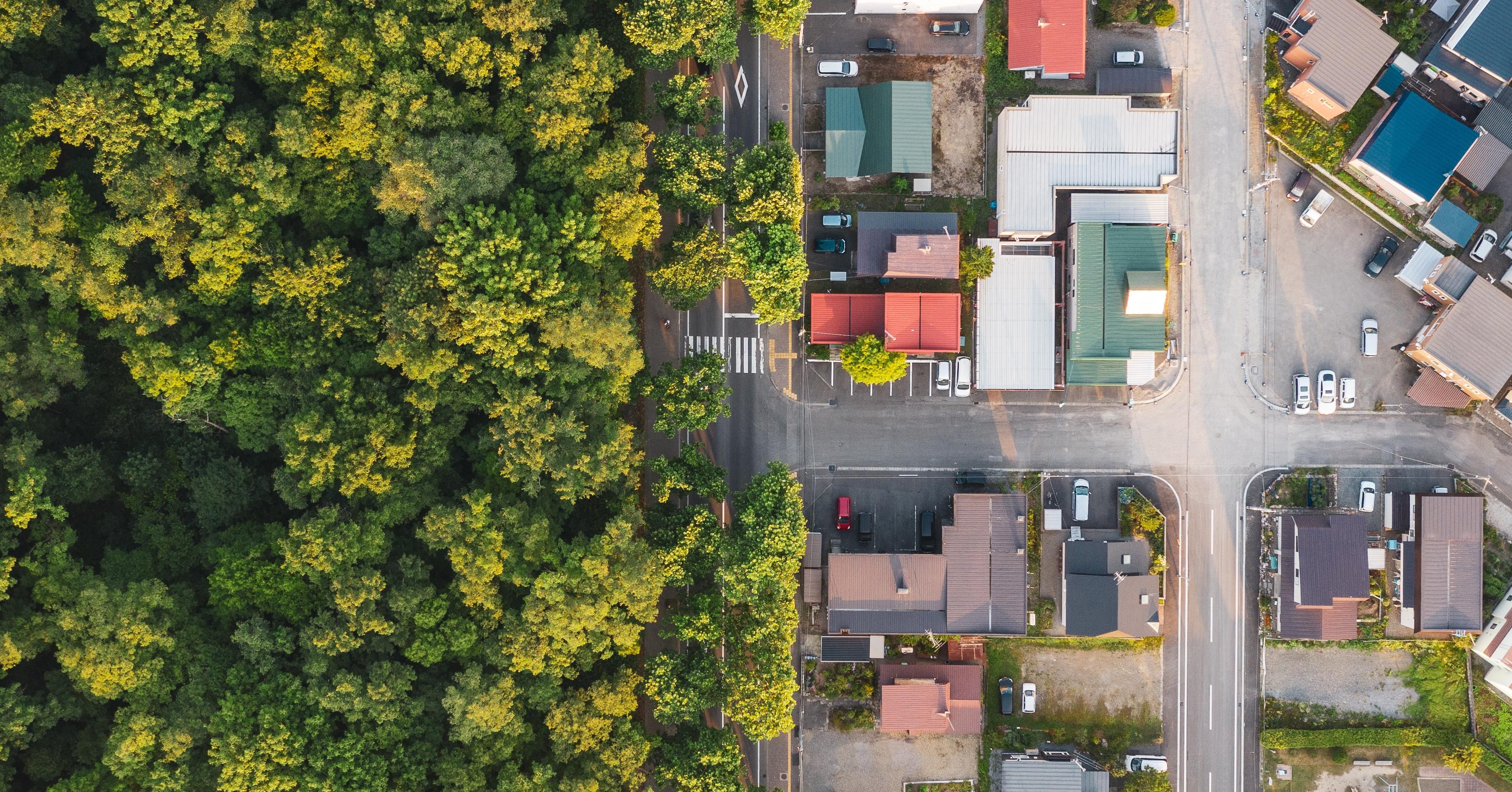 Opinion | A Viable Human Future Depends on Living With Less | David Korten Opinion | A Viable Human Future Depends on Living With Less | David Korten