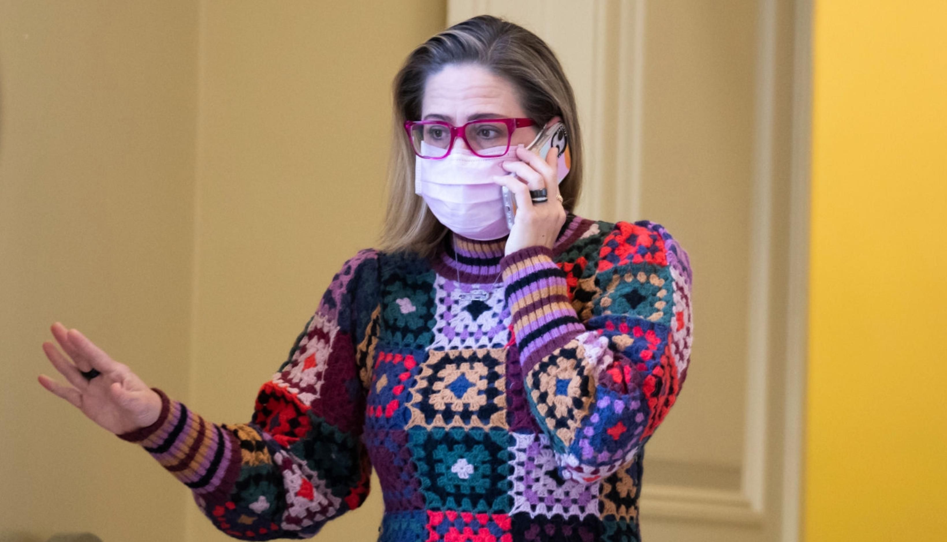 To 'Hold Her Accountable for What She Did,' Primary Sinema Project Gets ...