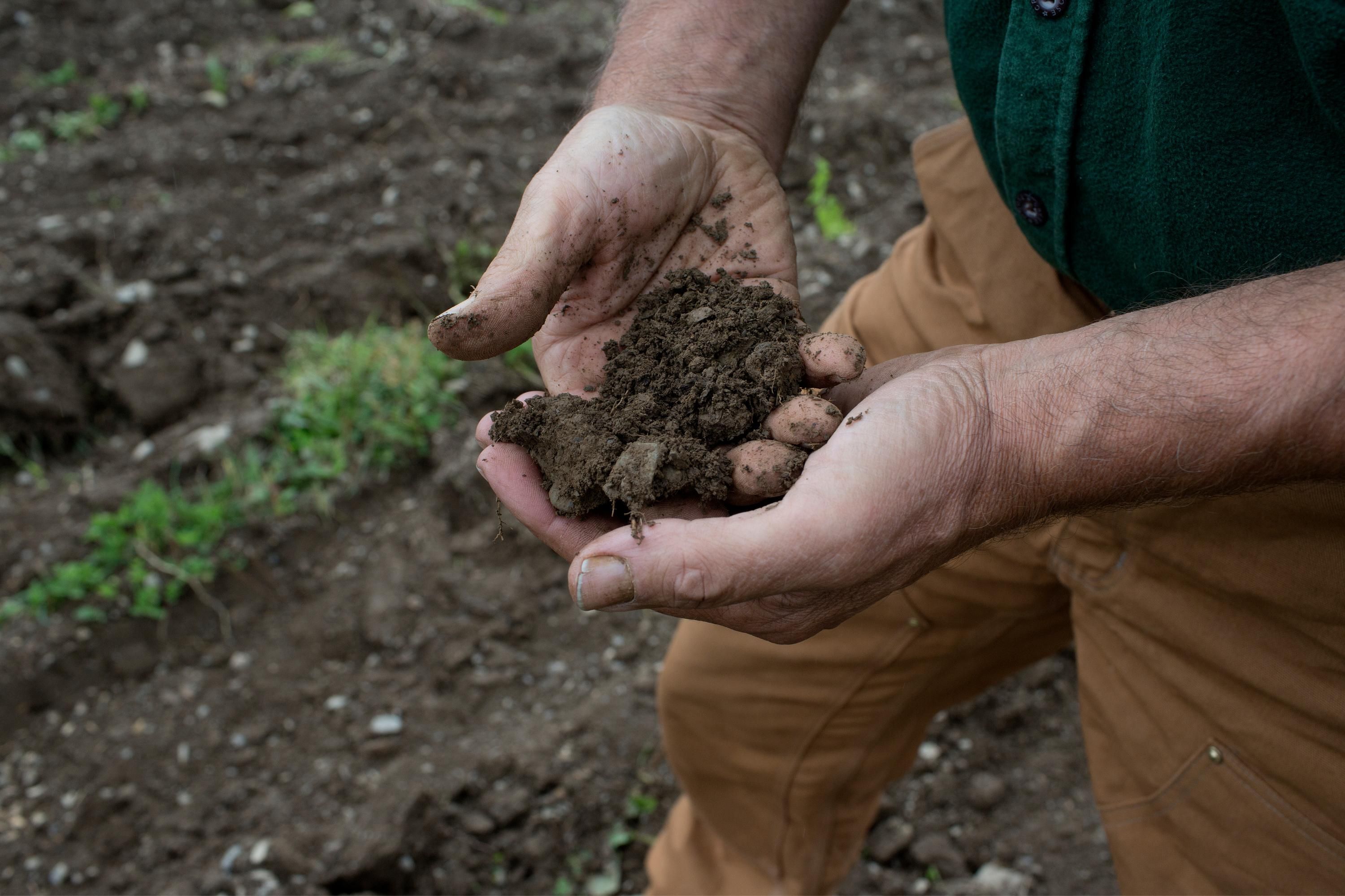Opinion | Organic Regenerative Farming Remains Key for Our Sustainable ...